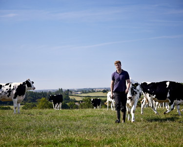 FarmAhead™ Technology | Arla