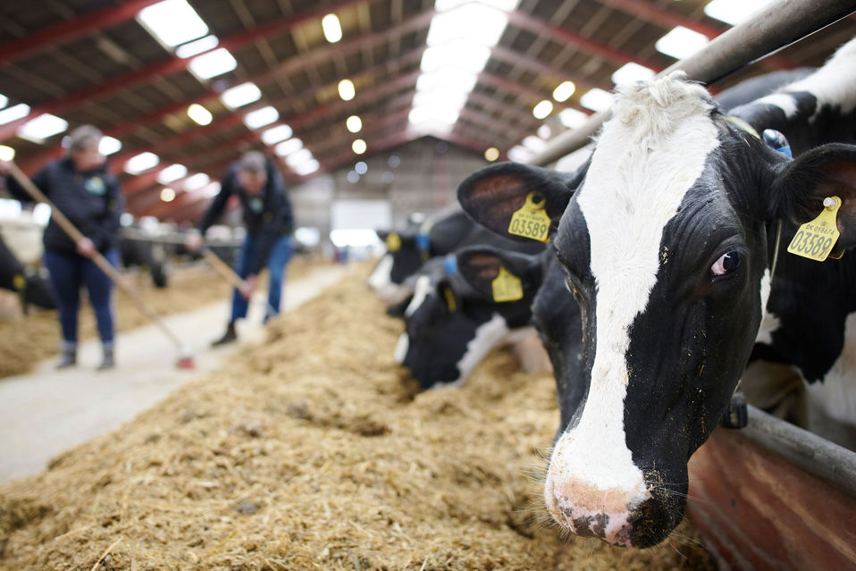 FarmAhead™ Technology | Arla