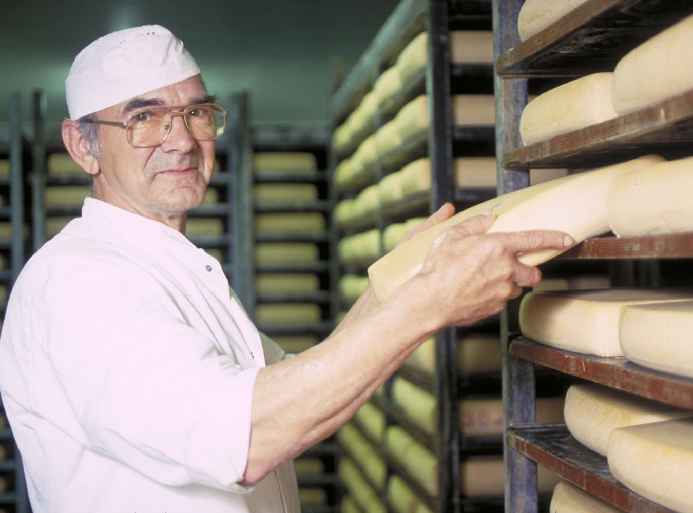 Riberhus®-guiden | Arla